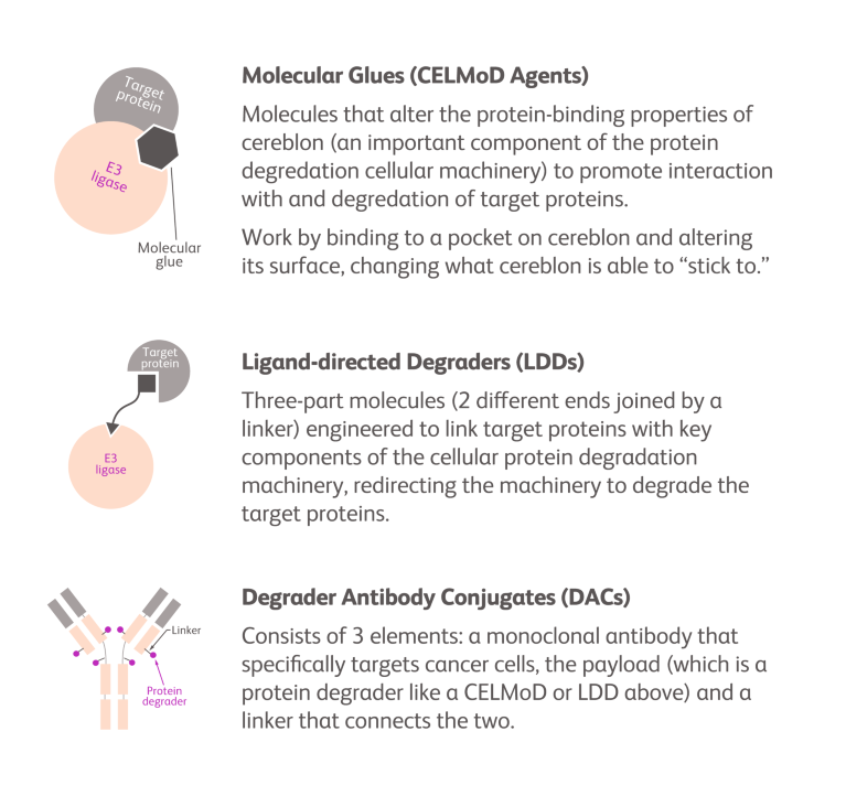 Targeted Protein Degradation: Revolutionizing Medicine by Drugging the ...
