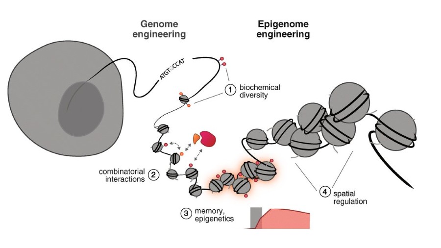 Genome Biology | Home page